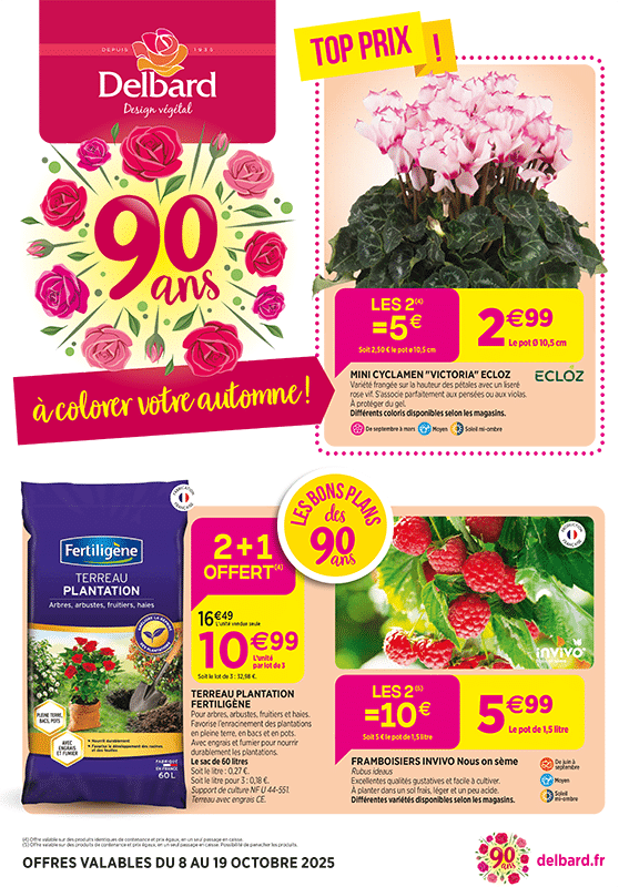 Catalogue promo temps fort octobre 2025 - DENORMANDIE